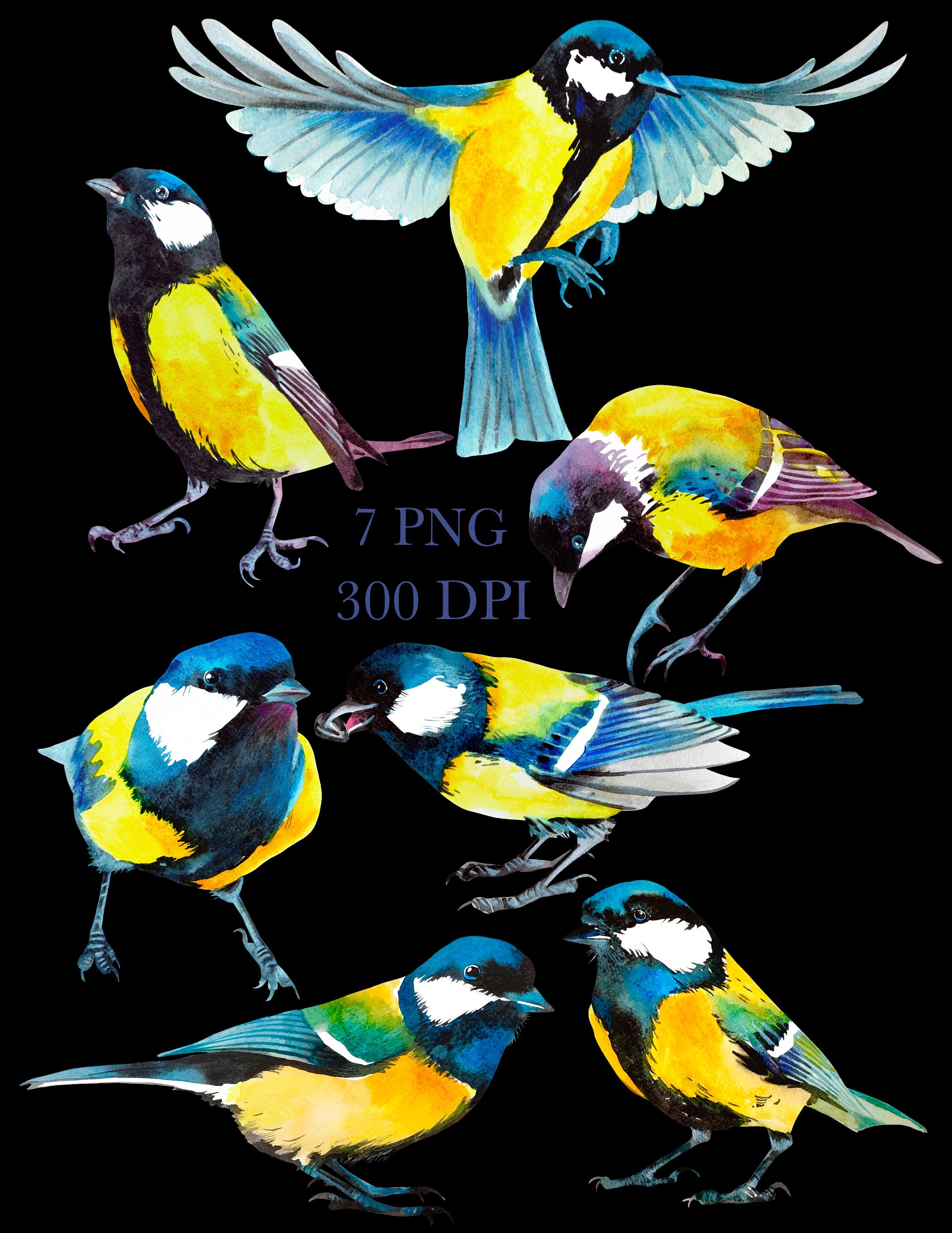 Watercolor Clipart Bird Clip Art Printable Instant Download | Etsy