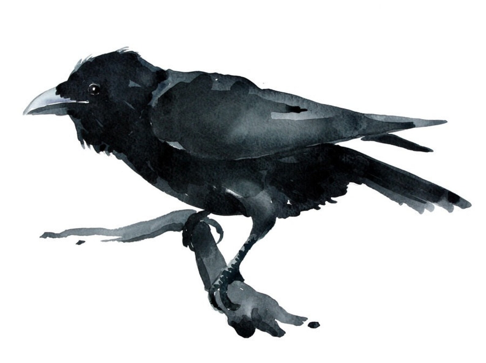 Crow Printable Original Watercolor Painting Art Print From | Etsy