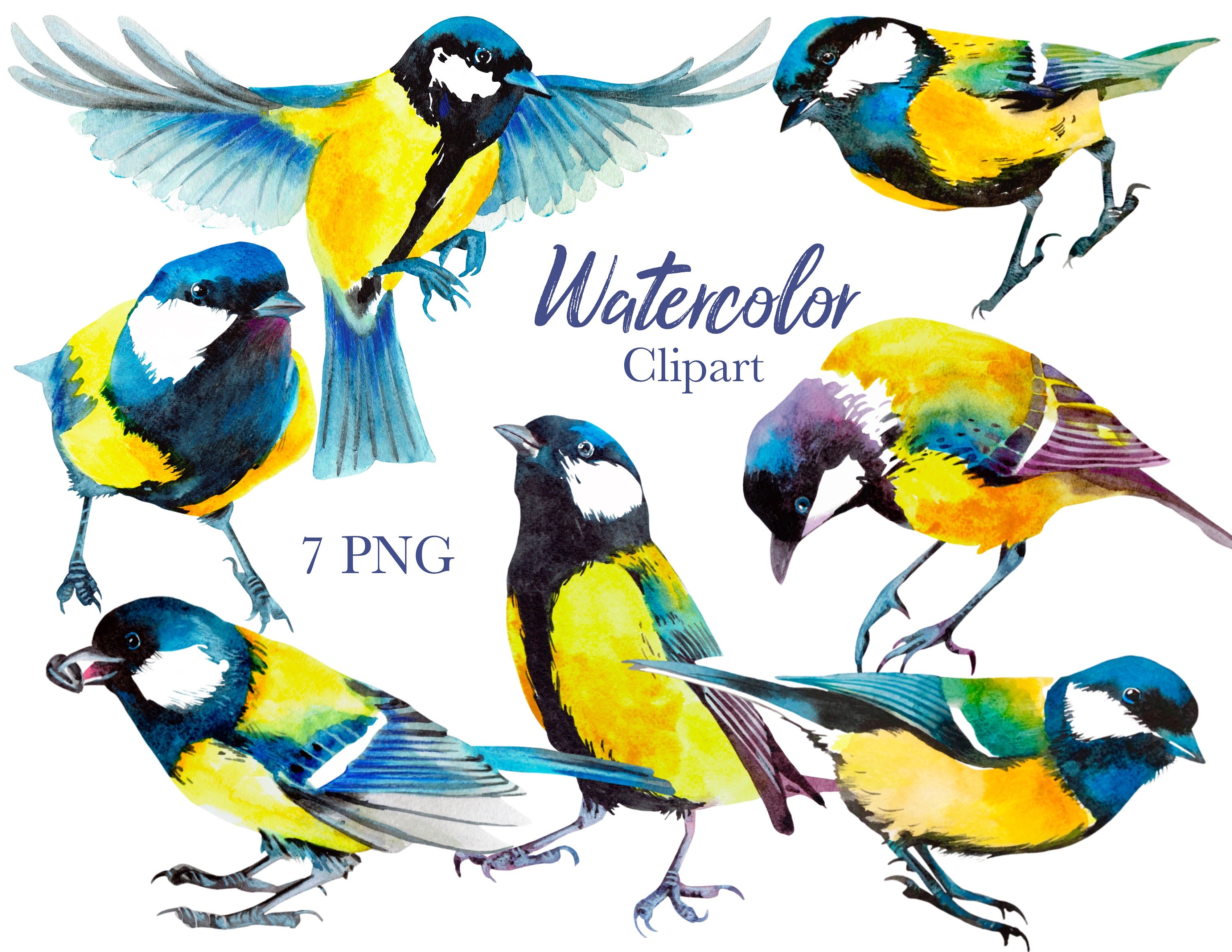 Watercolor Clipart Bird Clip Art Printable Instant Download | Etsy
