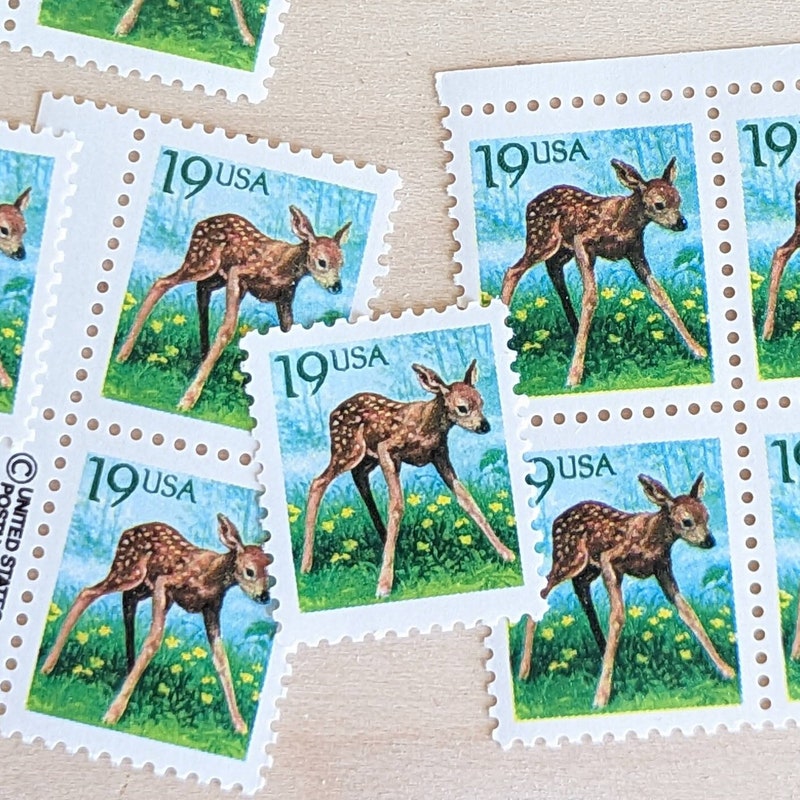 Buck Stamp - Etsy
