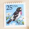 10 Eastern Bluebird Stamps, 1996 Unused Postage Stamps, 3 Cent Stamps ...