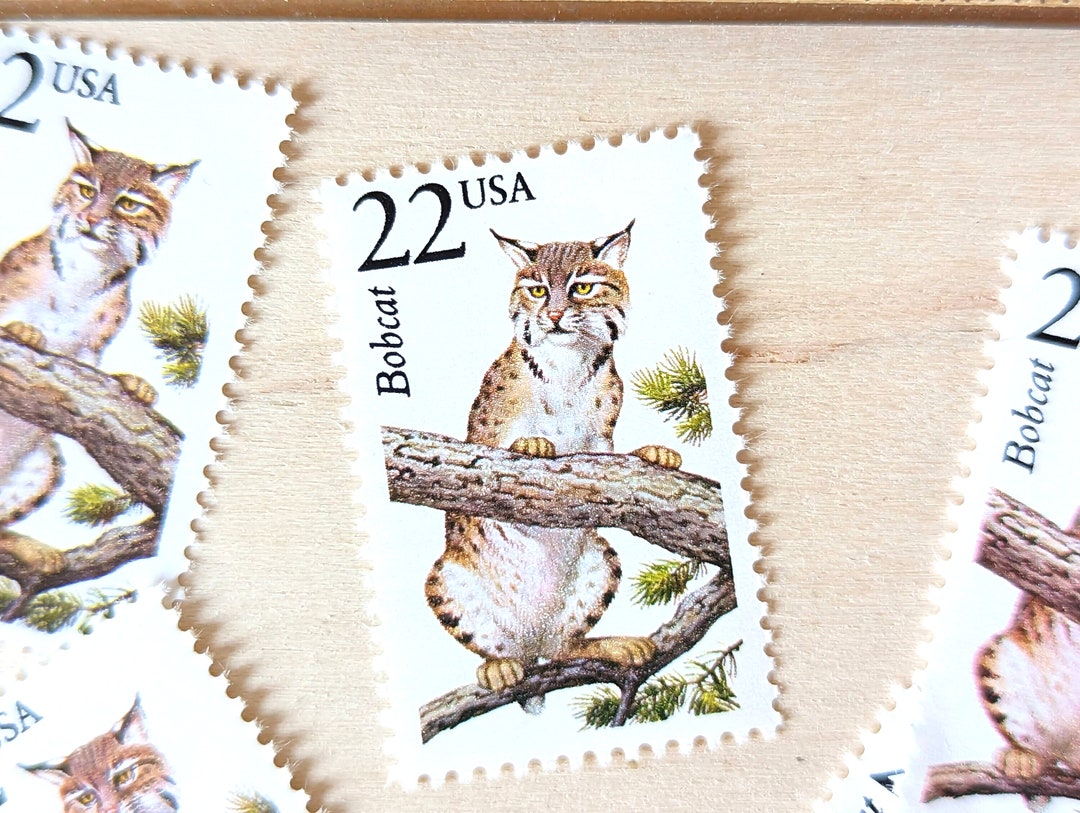 5 Bobcat Wildlife Stamps, 22 Cent 1987 Unused Postage Stamps - Etsy