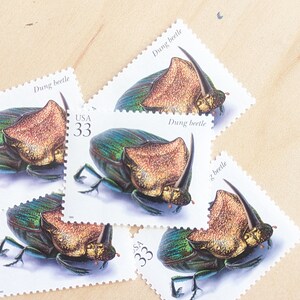 5 Dung Beetle Stamps, 33 Cent, 1999, Unused Postage Stamps, Insects and ...