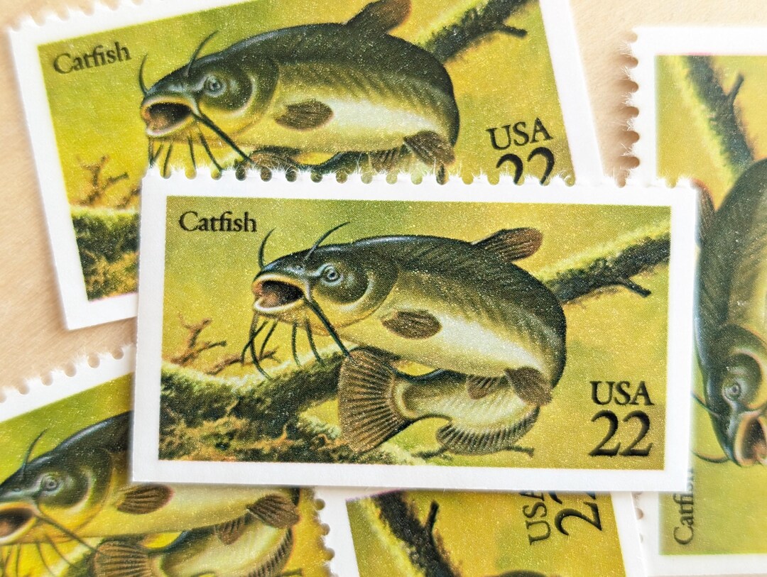 5 Catfish Stamp, 22 Cent, 1986, Unused Postage Stamps, Vintage ...