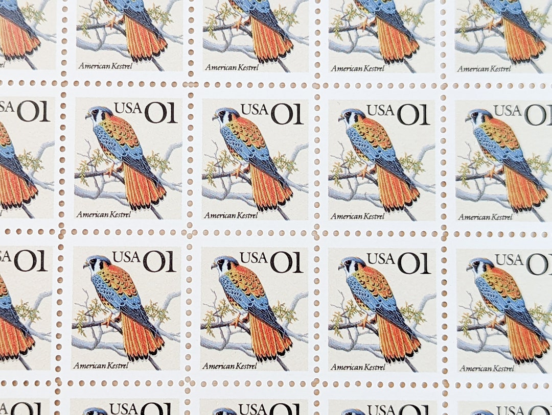 Sheet of 100 American Kestrel Stamps, 1991 Unused Postage Stamps, 1 ...