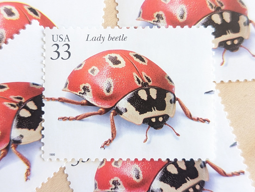 5 Lady Beetle Stamps, 33 Cent, 1999, Unused Postage Stamps, Insects and ...