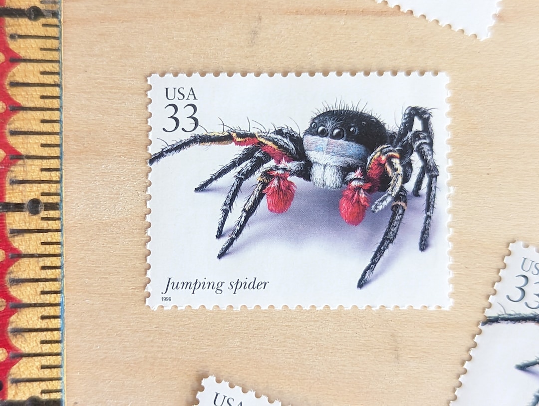 5 Jumping Spider Stamps, 33 Cent, 1999, Unused Postage Stamps, Insects ...