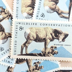 10 Bighorn Sheep Stamps, Unused Postage Stamps, 8 Cent Stamps, Wildlife ...