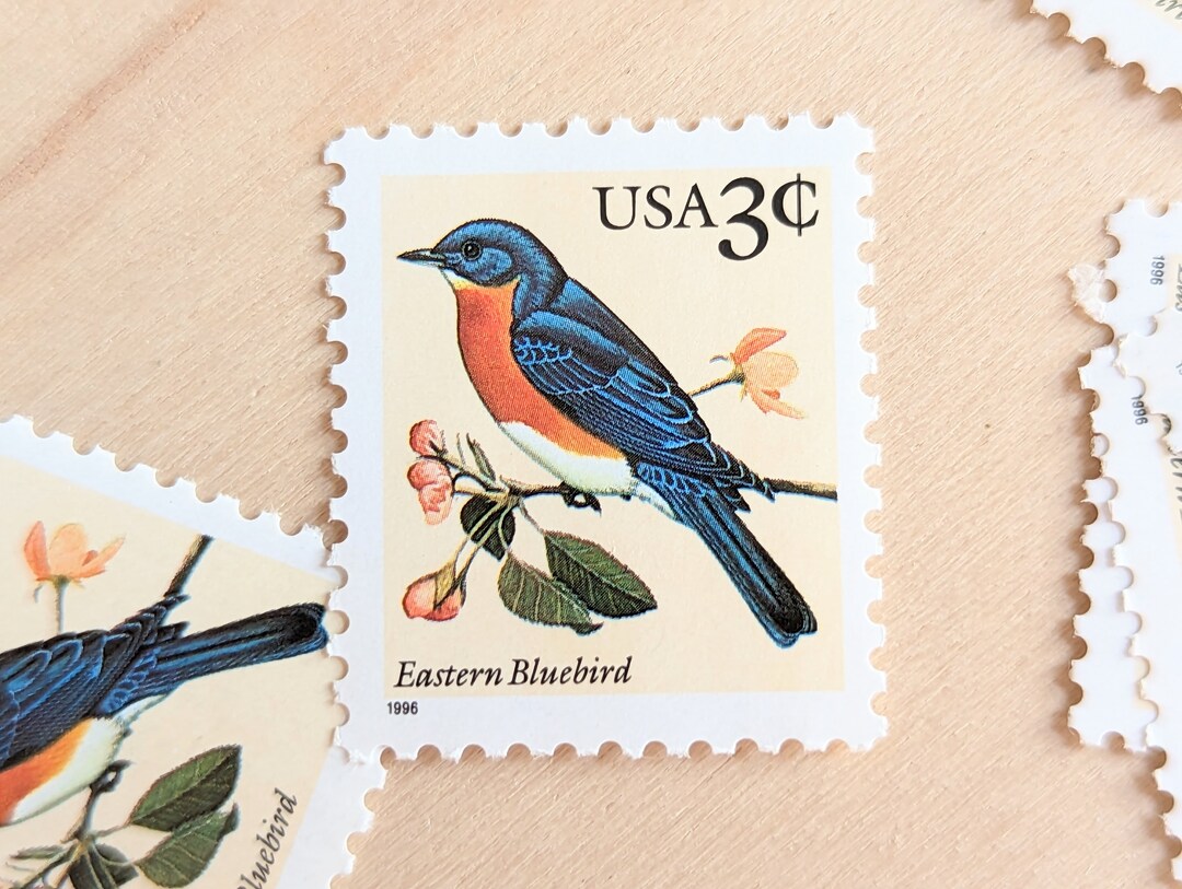 10 Eastern Bluebird Stamps, 1996 Unused Postage Stamps, 3 Cent Stamps ...