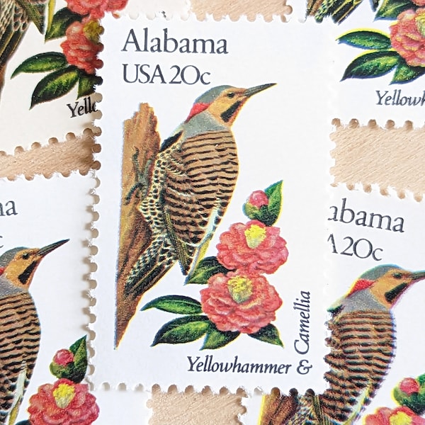 Alabama State Bird - Etsy