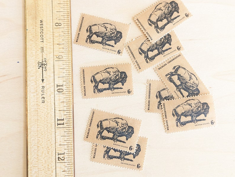 10 Wildlife Conservation Bison Stamps 6 Cent 1970 Unused - Etsy