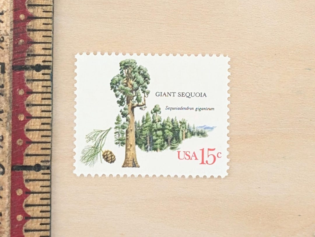 Set of 10 Giant Sequoia, Sequoiadendron Giganteum 15 Cent 1978 American ...