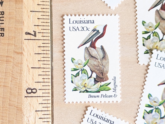 Louisiana State Bird And Flower