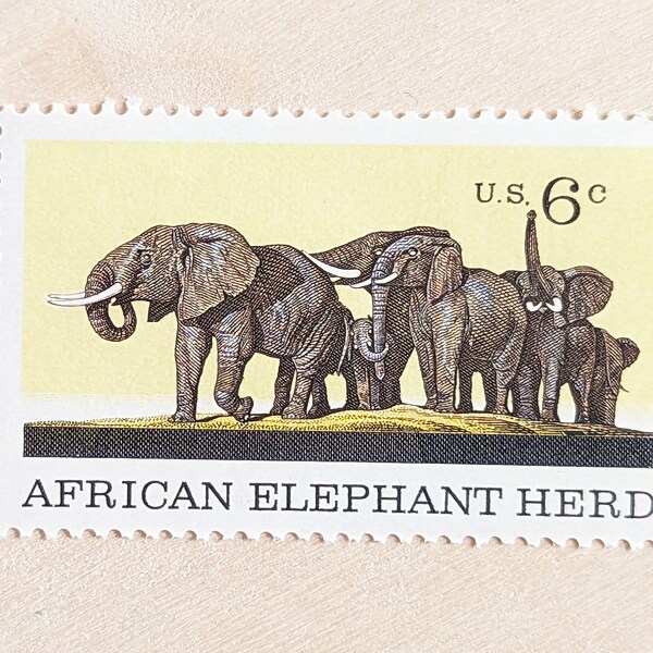 Natural History - Etsy