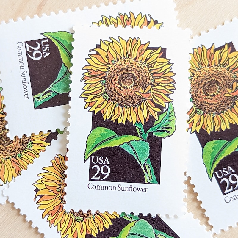 Sunflower Stamp - Etsy