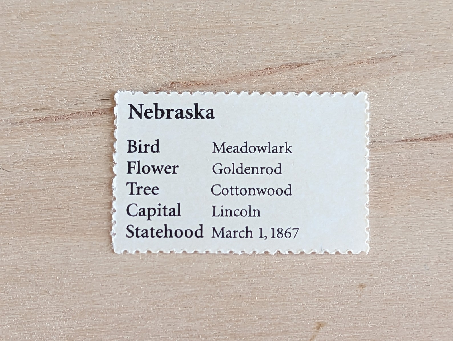 Choose Your State Greetings From. . . Vintage Style Postcard Postage ...