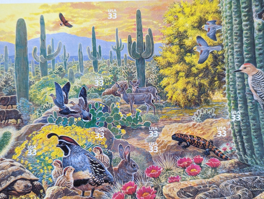 Sonoran Desert Unused Postage Stamp Sheet, 1999, Ten 33 Cent Stamps - Etsy