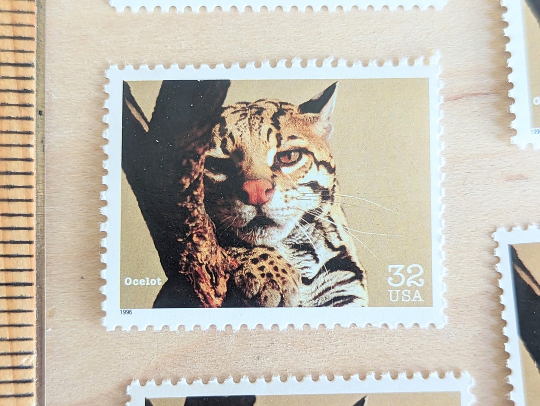 5 Ocelot Stamps, 32 Cent Unused Postage Stamps, Endangered Species 1995 ...