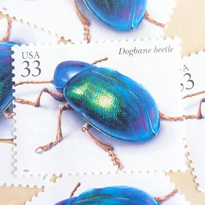 5 Dogbane Beetle Stamps, 33 Cent, 1999, Unused Postage Stamps, Insects ...