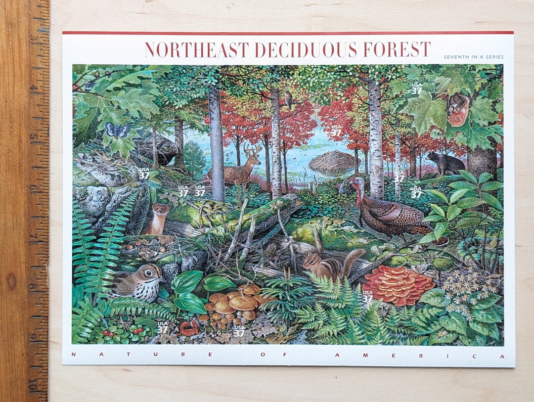 Northeast Deciduous Forest Unused Postage Stamp Sheet, 2004, Ten 37 ...