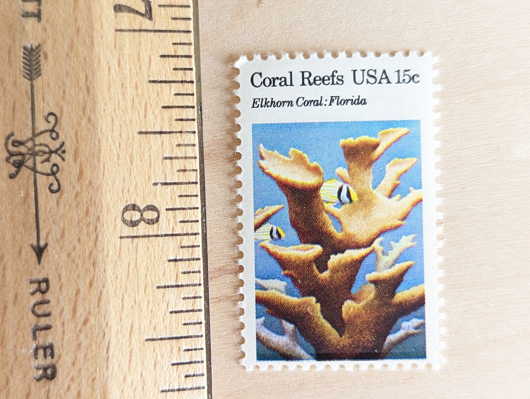 10 Coral Reefs Stamps, Elkhorn Coral: Florida, 1980 Unused Postage ...
