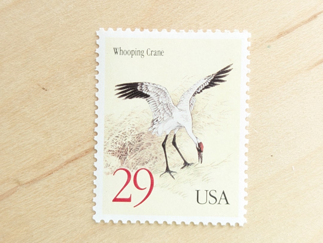 10 Whooping Crane Stamps, 29 Cent Unused US Stamps, 1994, Vintage ...