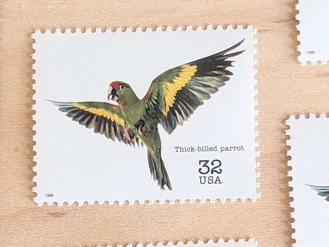 5 Thick Billed Parrot Stamps, 32 Cent Unused Postage Stamps, Endangered ...