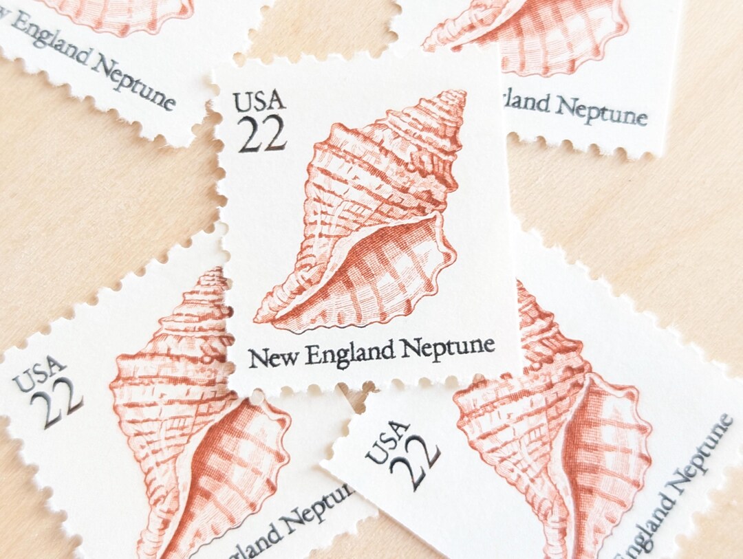 5 New England Neptune Seashell Stamps, Vintage Unused USPS 22 Cent ...