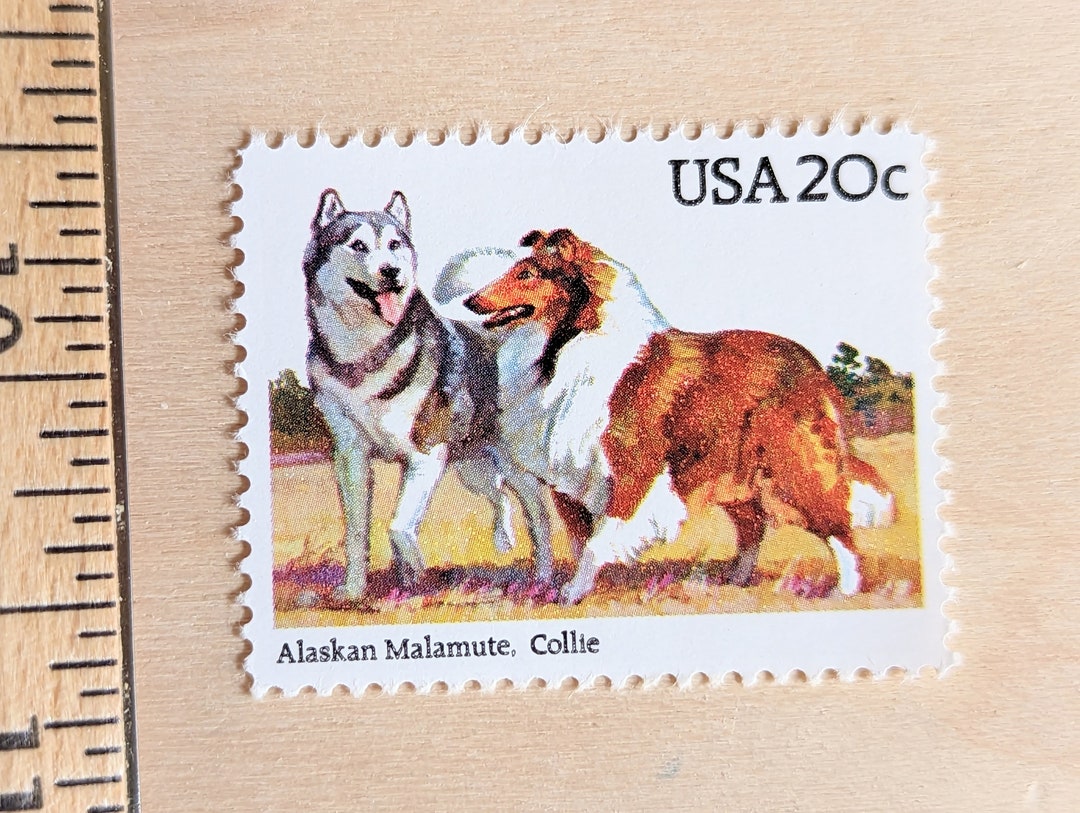 10 Alaskan Malamute and Collie Dog Stamps,1984 Unused Postage Stamps ...