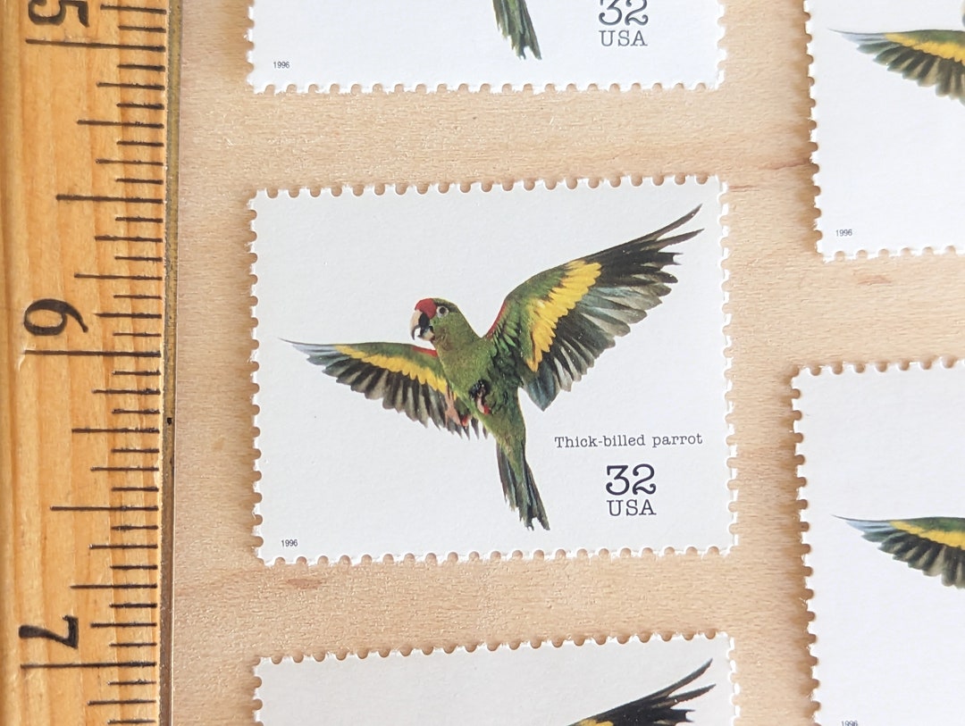 5 Thick Billed Parrot Stamps, Vintage Unused USPS 32 Cent Unused ...