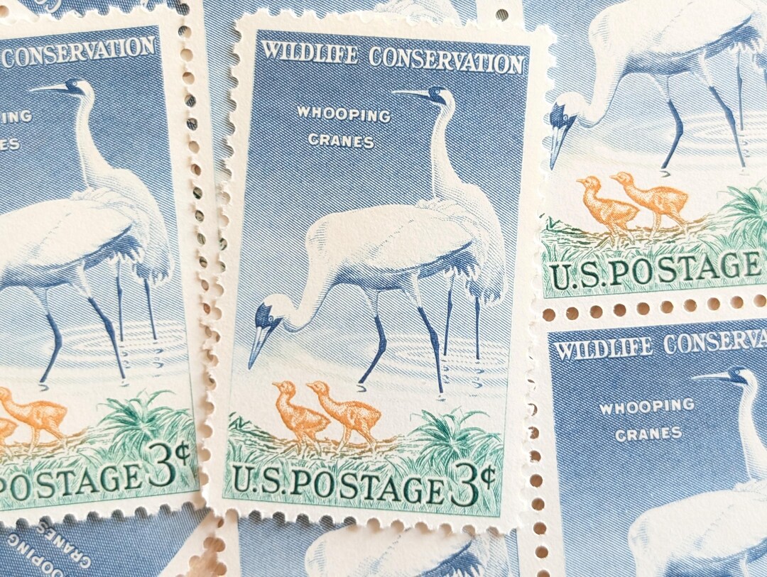 10 Whooping Crane Wildlife Conservation Stamps, 1957 Unused Postage ...