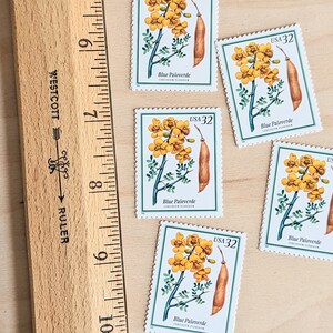 5 Blue Paloverde Stamps, 32 Cent, Flowering Tree Stamps, 1998, Unused ...