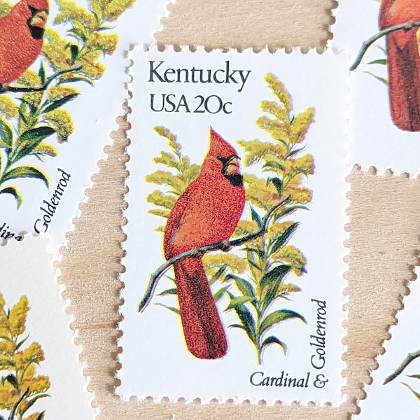 Kentucky State Bird - Etsy