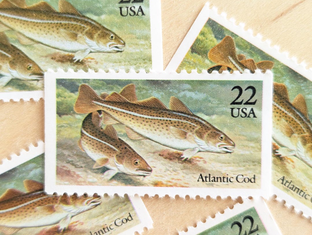 5 Atlantic Cod Stamp, 22 Cent, 1986, Unused Postage Stamps - Etsy