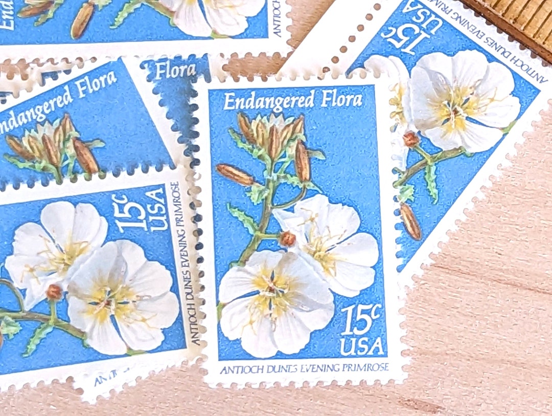 10 Endangered Flora Stamps, 15 Cent 1979 Unused Postage Stamps, Antioch ...