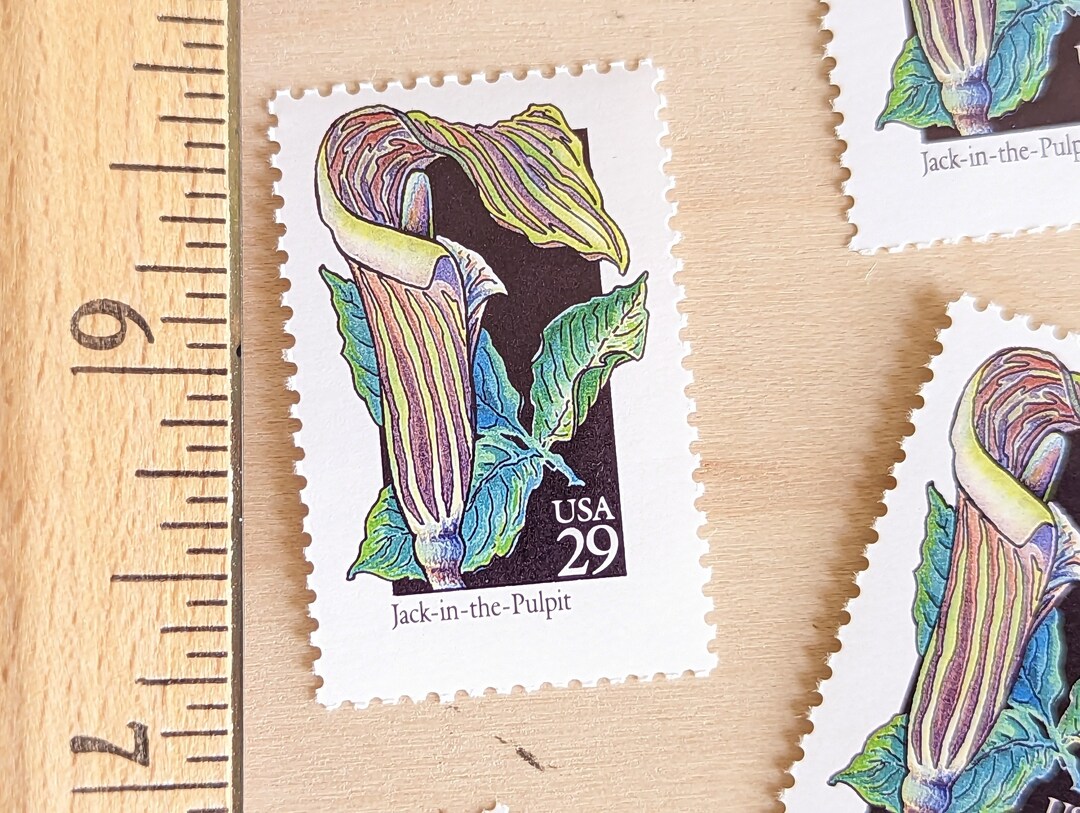 5 Jack-in-the-pulpit Wildflower Stamps, Vintage Unused USPS 29 Cent ...
