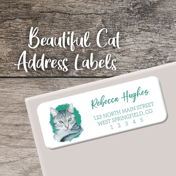 Domestic Shorthair - Etsy