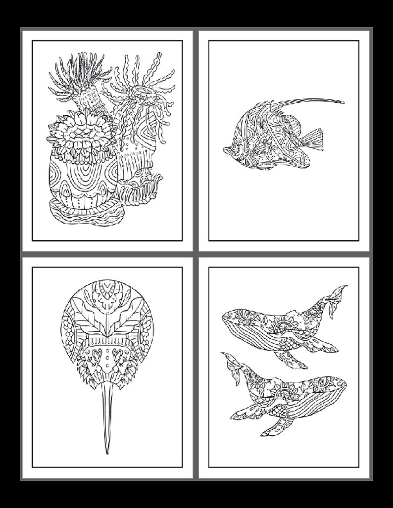 Mandala Sea Creature Coloring Page Sea Creature Printable | Etsy