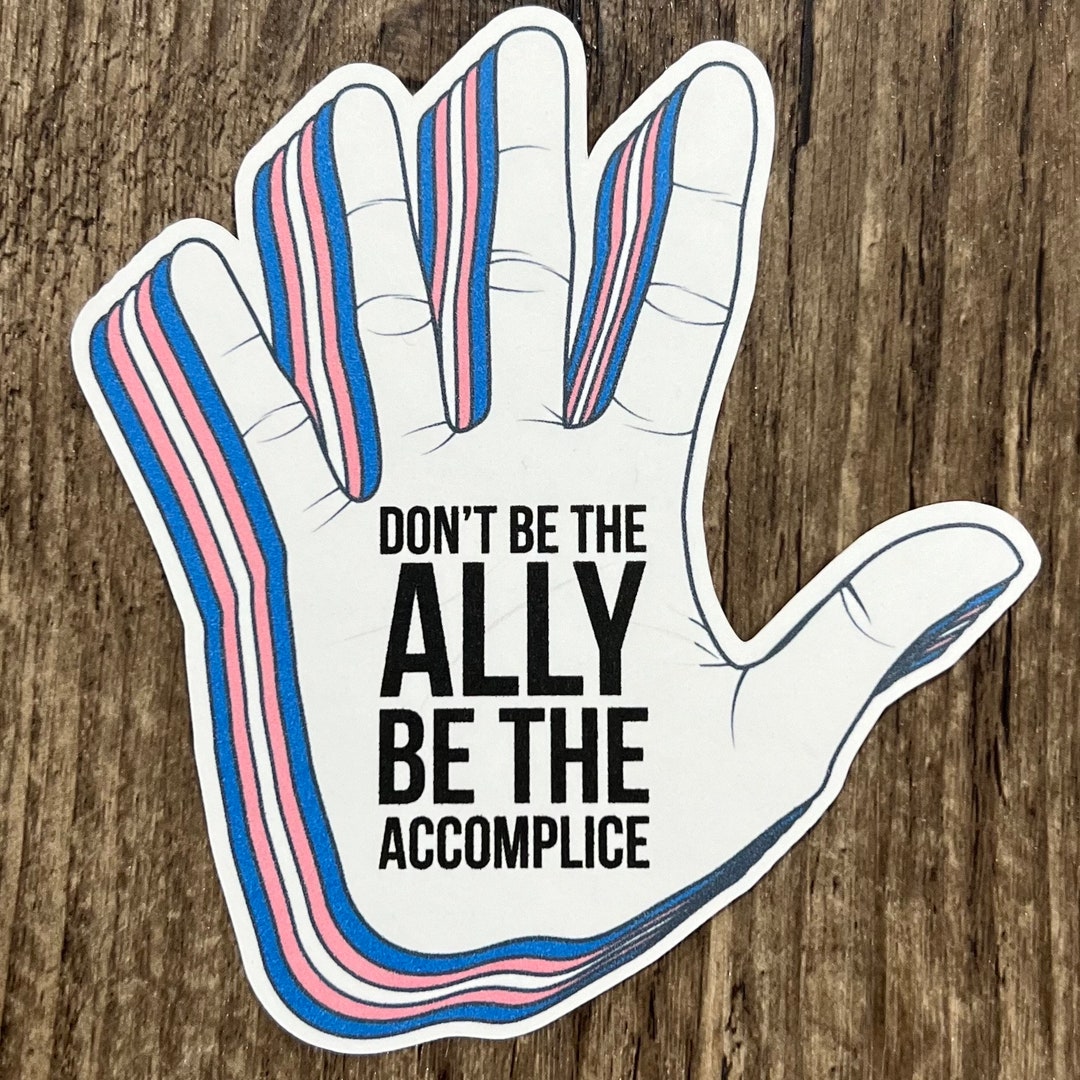 Transgender Bumper Sticker, Trans Rights, Political Sticker, Die Cut ...