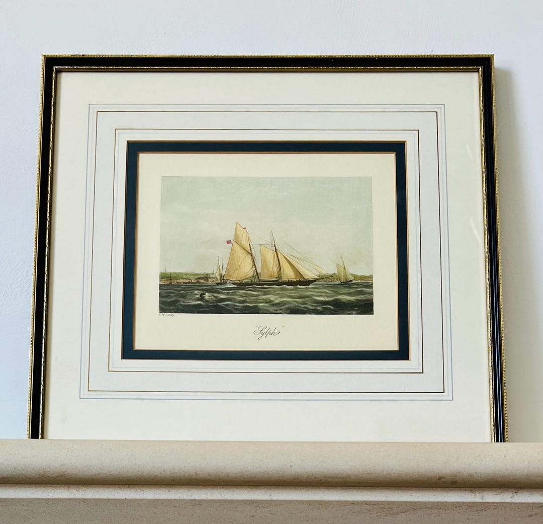 Original Wall Art in Frame - Antique Victorian Fine Hand Coloured ...