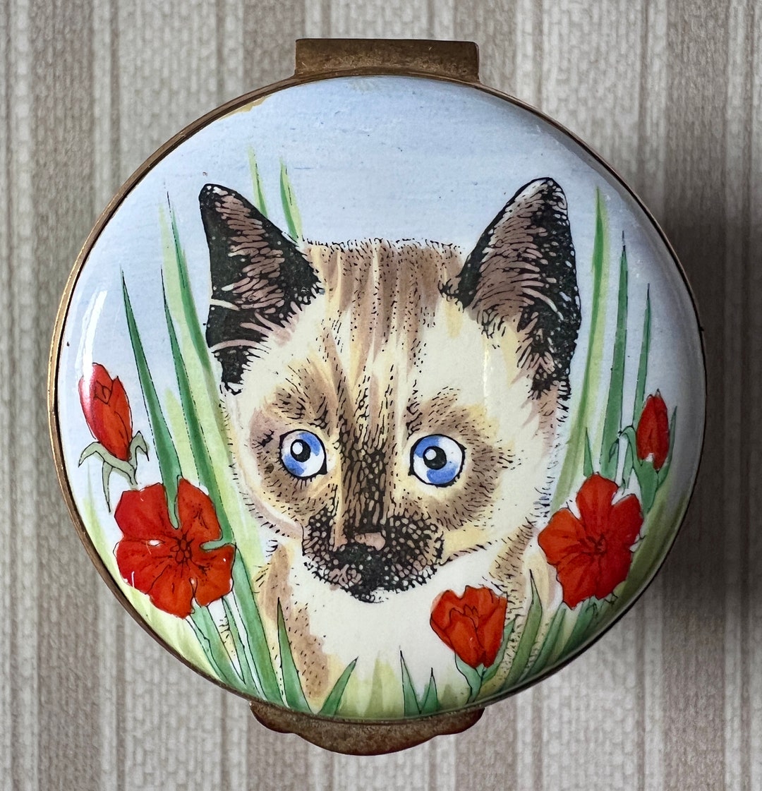 VINTAGE Crummles Enamels Kitty Cat & Flowers Hinged Trinket Box - Pill ...