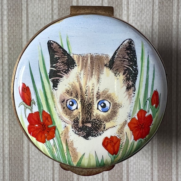 Vintage Enamel Cat Pill Box - Etsy