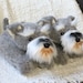 Schnauzer Slippers | Plush Dog Slippers | One Size Fits Most - Etsy