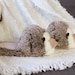 Fuzzy Hedgehog Slippers | Fluffy Animal Slippers | One Size Fits Most ...