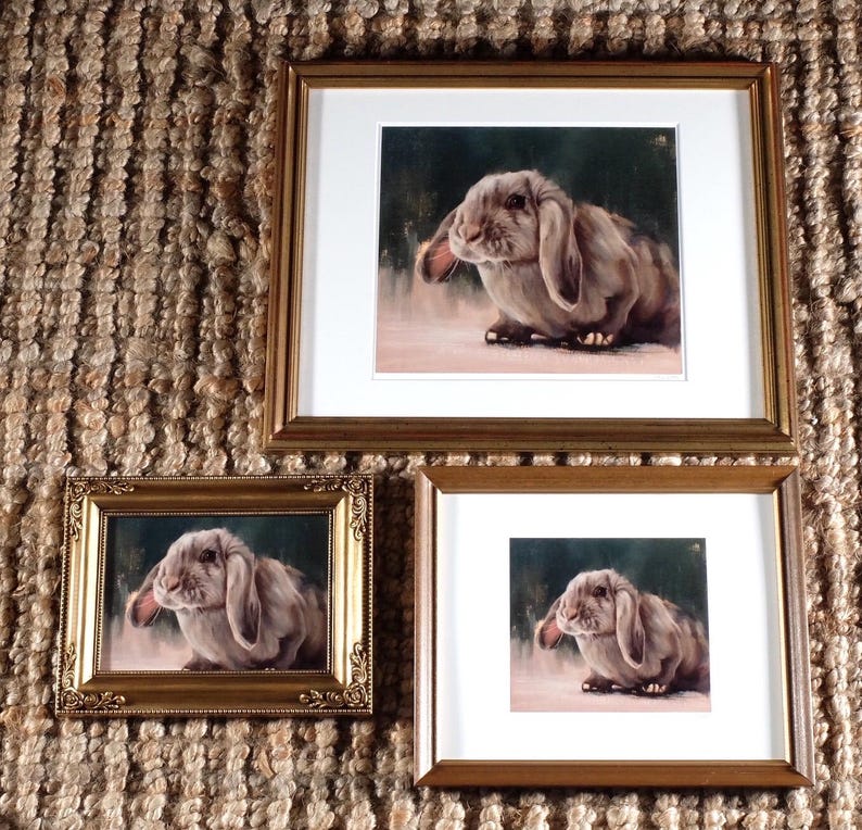 Theodore - Lop Bunny Rabbit Art Print, Framed Option Available - Etsy