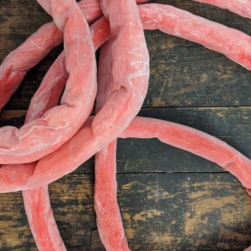 Fake Intestines Zombie Food Walking Dead Undead Food - Etsy