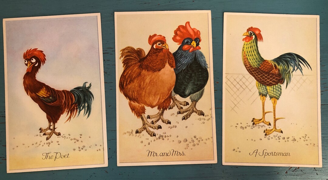 Lot of 3 Funky Cartoon Chicken Postcards - Etsy