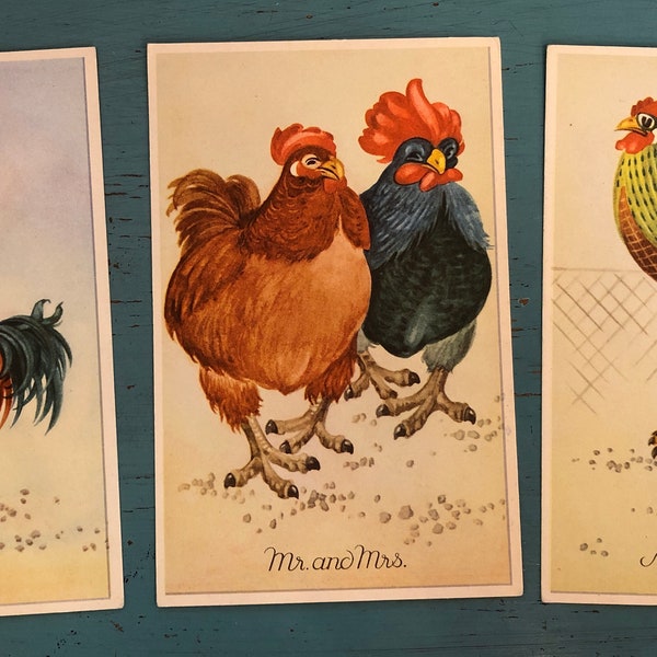 Cartoon Postcards - Etsy