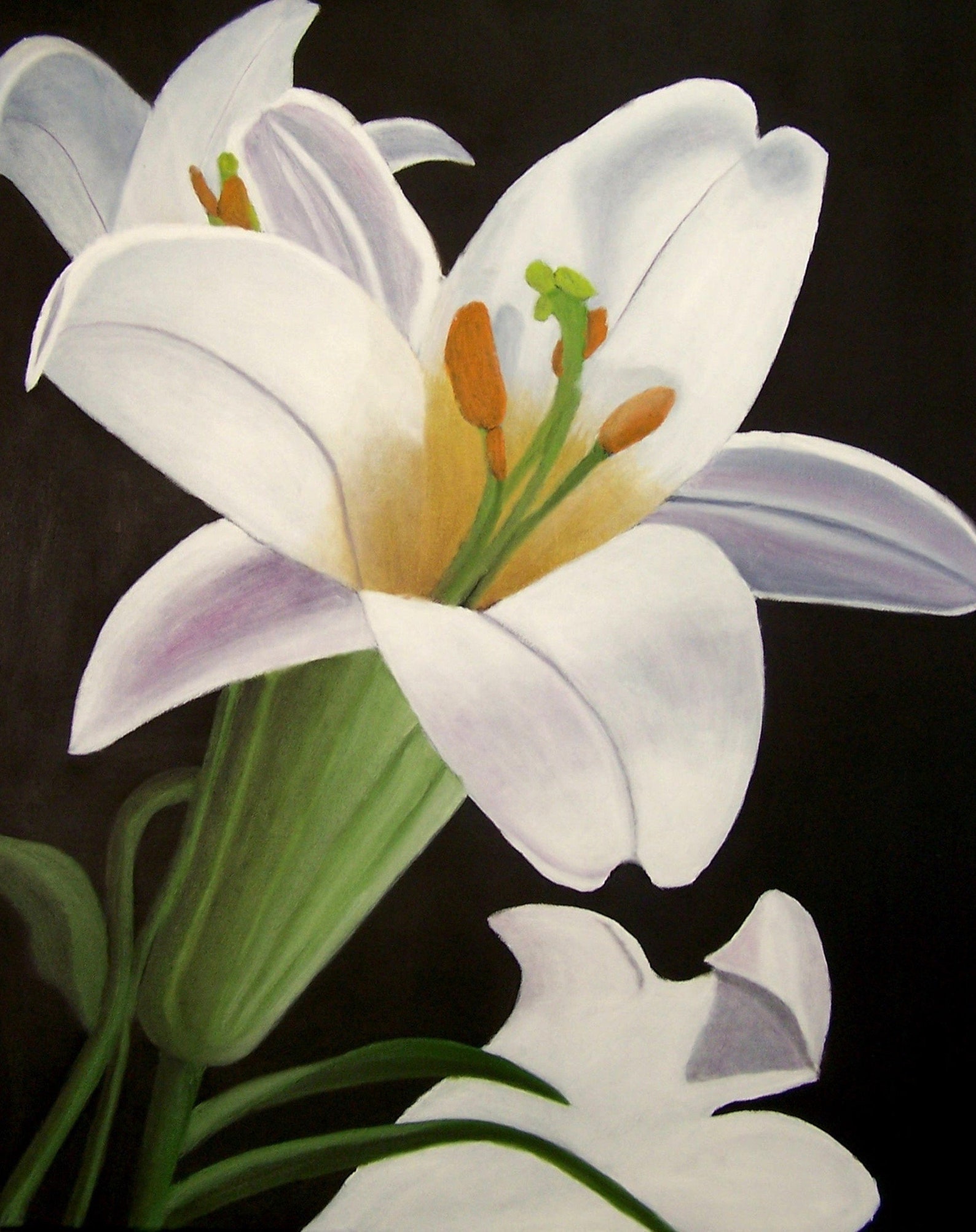 Lily, Easter Lily, Flower, Oil Painting, Original, Still Life, Floral ...