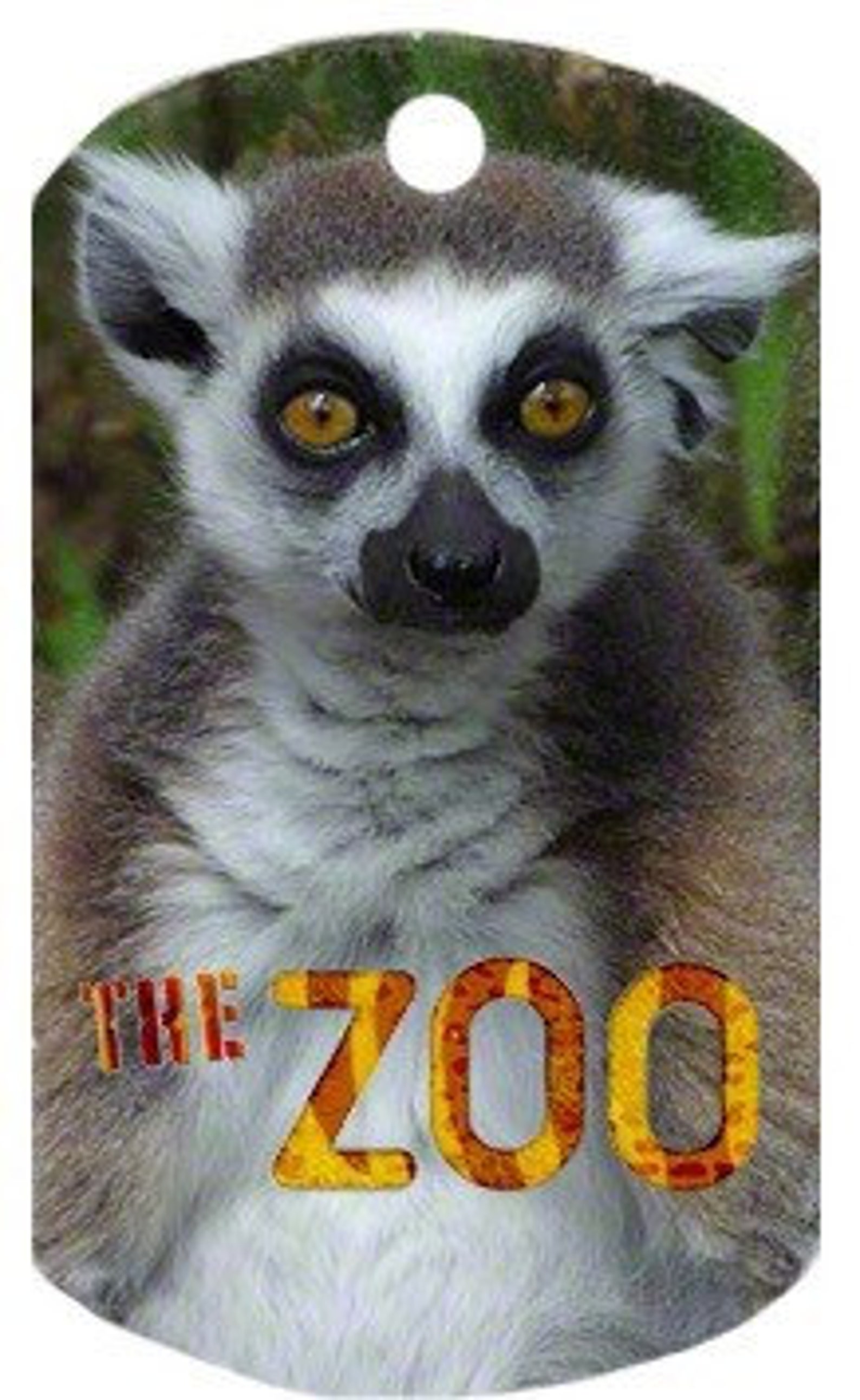 Custom Photo Dog Tag Complete With 30 Chain | Etsy